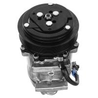 China AC Compressor with Clutch & Pulley for International Truck Navistar PAG100 for sale