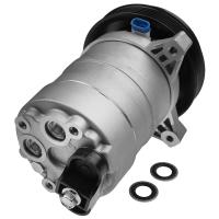 China AC Compressor with Clutch & Pulley for Buick LeSabre Chevy Oldsmobile Pontiac for sale