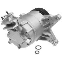 China AC Compressor with Clutch & Pulley for Chevrolet Malibu Pontiac G6 Saturn Aura for sale