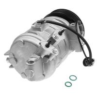 China AC Compressor with Clutch & Pulley for Toyota Sequoia 2008-2009 4.7L SUV 10SR19C for sale