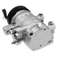 China AC Compressor with Clutch & Pulley for Ford Mustang 2011-2021 5.0L 5.2L for sale