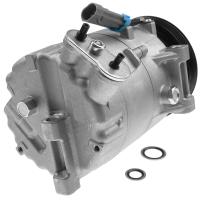 China AC Compressor with Clutch & Pulley for Pontiac Solstice 2006-2009 Saturn Sky for sale