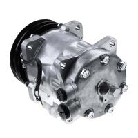 China AC Compressor with Clutch & Pulley for Sterling Truck Acterra 5500 Ford 01-04 for sale