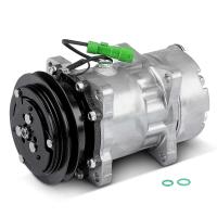 China AC Compressor with Clutch & Pulley for Jaguar XJ12 95-96 XJ6 XJS Vanden Plas for sale