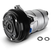China AC Compressor with Clutch & Pulley for Buick Regal Oldsmobile Delta 88 Pontiac for sale