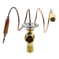 China AC Expansion Valve for Honda Accord Civic Prelude Acura CL EL TL Jaguar XK8 for sale