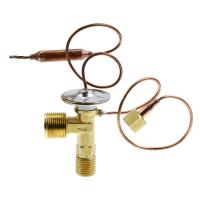 China AC Expansion Valve for Honda Accord Civic Prelude Acura CL EL TL Jaguar XK8 for sale