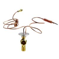 China AC Expansion Valve for Lexus SC300 SC400 1994-2000 L6 3.0L V8 4.0L for sale