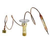 China AC Expansion Valve for Datsun 200SX Honda Passport Mazda Miata Nissan Sentra for sale