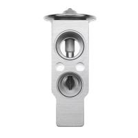 China AC Expansion Valve for Mercedes-Benz ML320 W163 1998-2003 R350 2006-2007 3.5L for sale