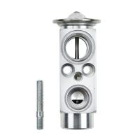 China AC Expansion Valve for Ford Focus 2012 2013 2014 ELECTRIC L4 2.0L for sale