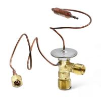 China AC Expansion Valve for Acura Integra Ford F Super Duty Jaguar XJ6 Porsche 911 for sale
