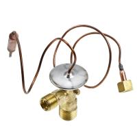 China AC Expansion Valve for Acura Integra Ford F Super Duty Jaguar XJ6 Porsche 911 for sale