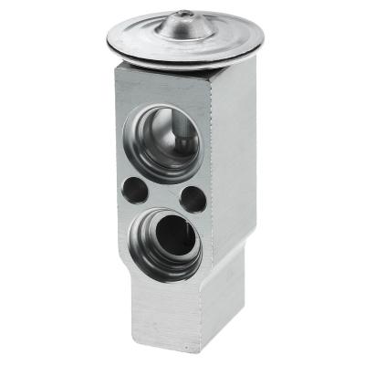 China Rear AC Expansion Valve for Kia Borrego 2009-2011 V8 4.6L 3.8L for sale