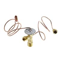 China AC Expansion Valve for Hyundai Elantra Mazda 323 626 B2000 B2200 B2600 GLC RX-7 for sale