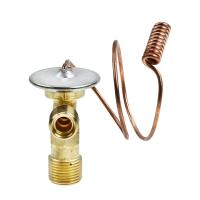 China AC Expansion Valve for Chevrolet Blazer Ford E-150 GMC K1500 Honda Civic for sale