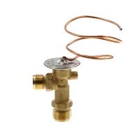 China AC Expansion Valve for Chevrolet Express 1500 2500 3500 GMC G1500 Savana 1500 for sale