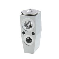 China AC Expansion Valve for Buick LaCrosse Chevrolet Cobalt Impala Malibu Pontiac G6 for sale