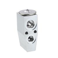 China AC Expansion Valve for Buick LaCrosse Chevrolet Cobalt Impala Malibu Pontiac G6 for sale