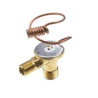 China AC Expansion Valve for Toyota Camry Land Cruiser 4Runner Chevrolet Geo Tracker for sale