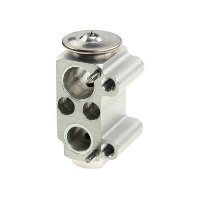 China AC Expansion Valve for BMW E90 E91 E92 335i 2007-2013 328xi 335d X5 X3 X1 DOHC for sale