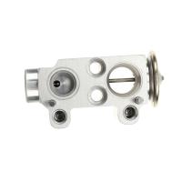 China AC Expansion Valve for BMW E90 E91 E92 335i 2007-2013 328xi 335d X5 X3 X1 DOHC for sale
