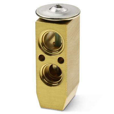 China AC Expansion Valve for Chevrolet Aveo 2004-2011 Pontiac G3 2007-2010 L4 1.6L for sale