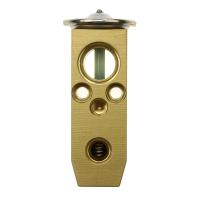China AC Expansion Valve for Chevrolet Aveo 2004-2011 Pontiac G3 2007-2010 L4 1.6L for sale