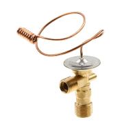 China AC Expansion Valve for Chevrolet Dodge Ford GMC Jeep Buick Oldsmobile Plymouth for sale