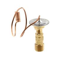 China AC Expansion Valve for Chevrolet Dodge Ford GMC Jeep Buick Oldsmobile Plymouth for sale