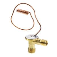 China AC Expansion Valve for Buick Rainier Chevrolet Trailblazer EXT Isuzu Ascender for sale