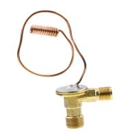 China AC Expansion Valve for Buick Rainier Chevrolet Trailblazer EXT Isuzu Ascender for sale