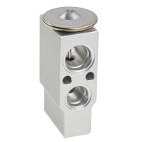 China Rear AC Expansion Valve for Nissan Armada 05-15 Pathfinder Quest INFINITI QX56 for sale