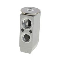 China AC Expansion Valve for Nissan Sentra 2002-2006 Murano 2009-2011 for sale