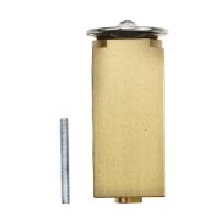China AC Expansion Valve for Chevrolet Venture Oldsmobile Silhouette Pontiac Montana for sale