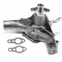 China Engine Water Pump with Gasket for Chevrolet GMC Isuzu Workhorse 4.3L 5.0L 5.7L for sale