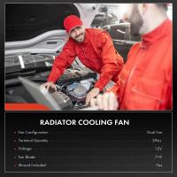 China Engine Radiator Cooling Fan Assembly for Chevrolet Malibu Pontiac G6 Saturn Aura for sale