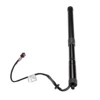China 2x Rear Tailgate Power Hatch Lift Support for Land Rover Range Rover 2013-2017 for sale