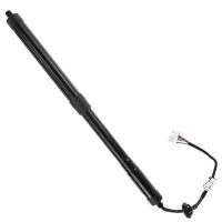China Rear Driver or Passenger Power Hatch Lift Support for Infiniti FX35 10-12 FX37 for sale
