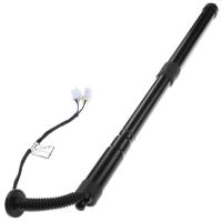 China Rear Tailgate Driver Power Hatch Lift Support for Honda Pilot 2018-2021 for sale