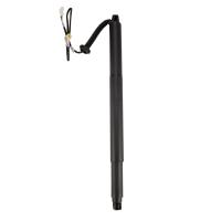 China Rear Tailgate Passenger Power Lift Supports with Power Opener for BMW F16 F86 X6 for sale