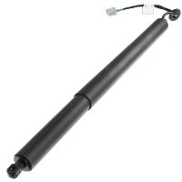 China Rear Driver Power Hatch Lift Support for Ford Explorer 2016-2019 for sale