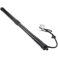 China Rear Tailgate Driver Power Hatch Lift Support for Toyota Highlander 2014-2019 for sale