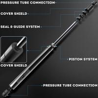 China 2x Rear Window Lift Supports Shock Struts for Buick Roadmaster Chevy Caprice for sale