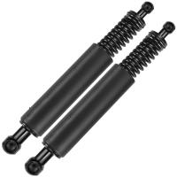 China 2x Rear Tailgate Lift Supports Shock Struts for Volkswagen Touareg 2006-2010 for sale