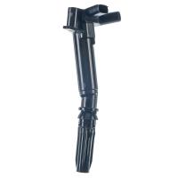 China Ignition Coil with 2 Pins for Ford F-150 F-250 F-350 Super Duty for sale
