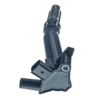 China Ignition Coil with 2 Pins for Ford F-150 F-250 F-350 Super Duty for sale