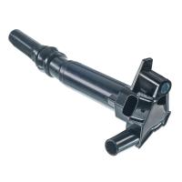 China Ignition Coil with 2 Pins for Ford F-150 F-250 F-350 Super Duty for sale