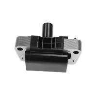 China Ignition Coil with 2 Pins for Nissan Frontier Tsubame Sentra Tsuru NP300 for sale