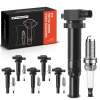 China 6x Black Ignition Coil & IRIDIUM Spark Plug Kits for Hyundai Santa Fe Kia Optima for sale
